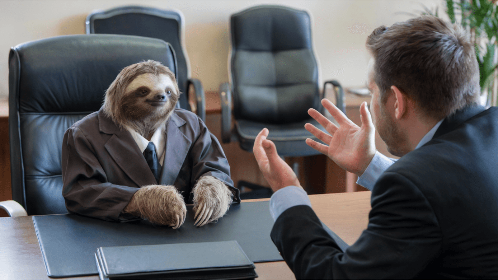 Why Pay London Fees for Subpar Service? | Rachel Watts Law